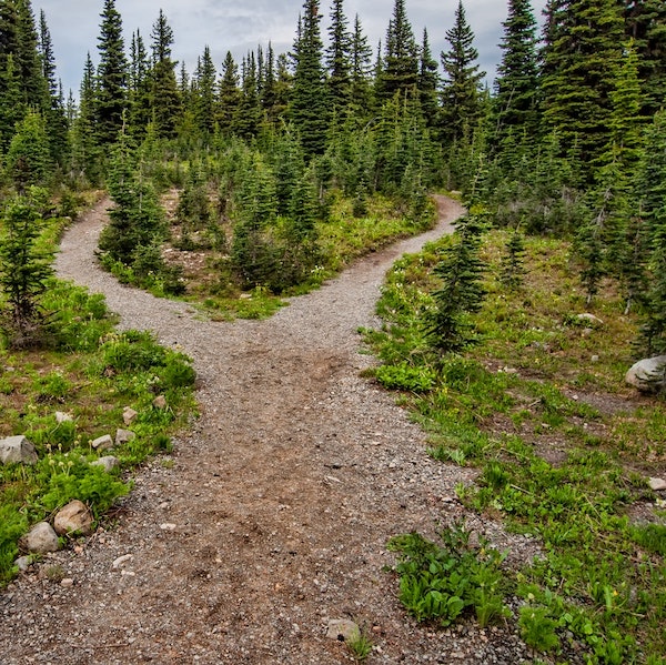 Get Outside with These Outdoor Workout Ideas - Honest & Well